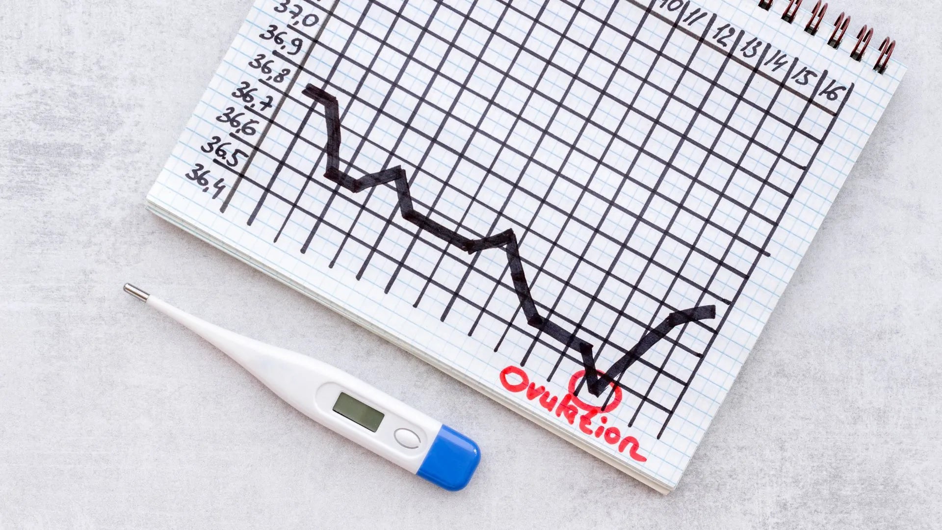 Can You Get Pregnant After Ovulation Dr Snug
