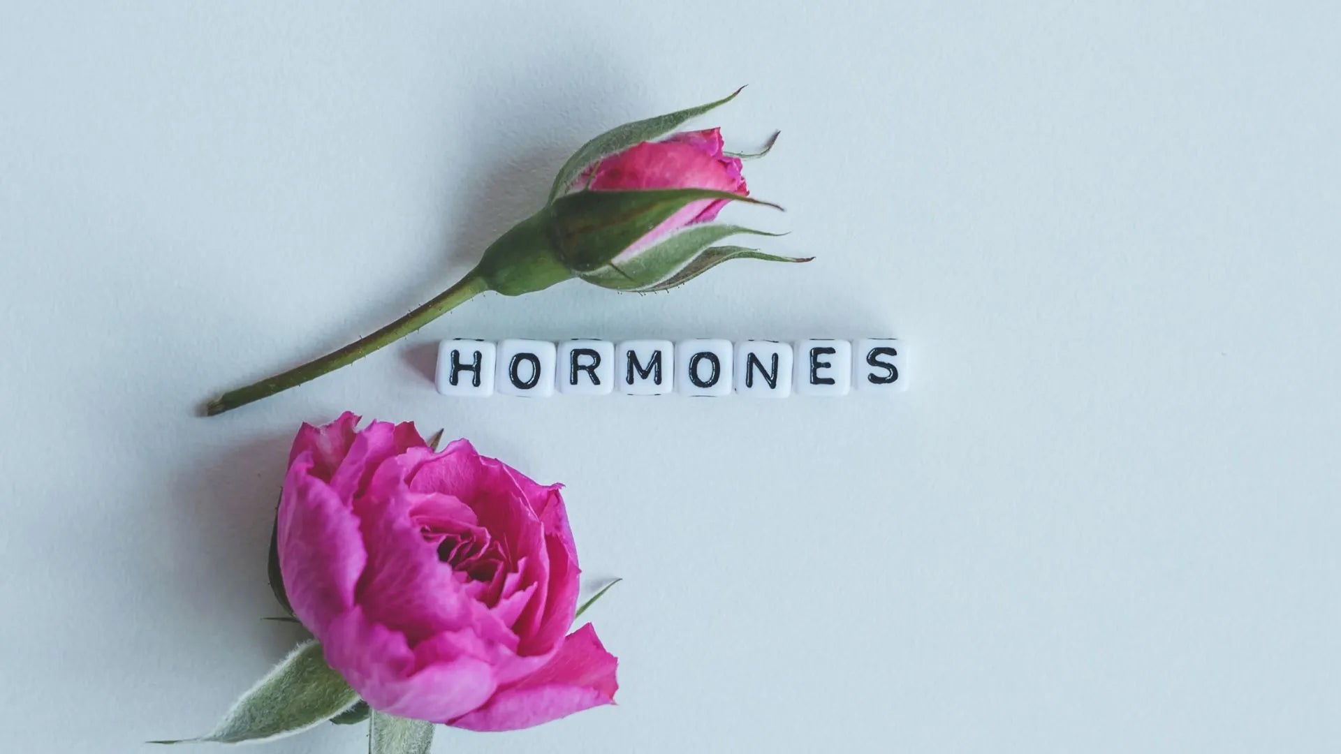 What Causes High Libido in Females? – Dr. Snug