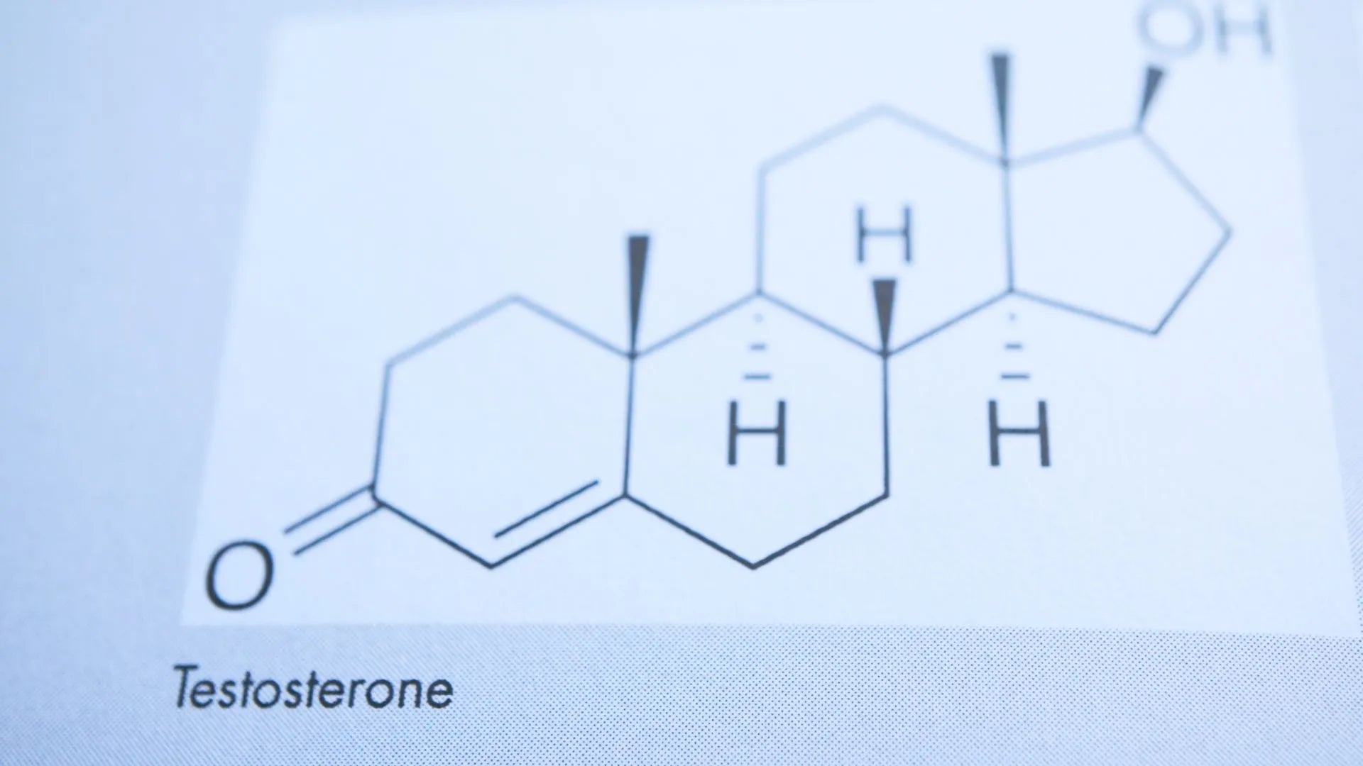 What Are the Best Natural Testosterone Boosters? – Dr. Snug